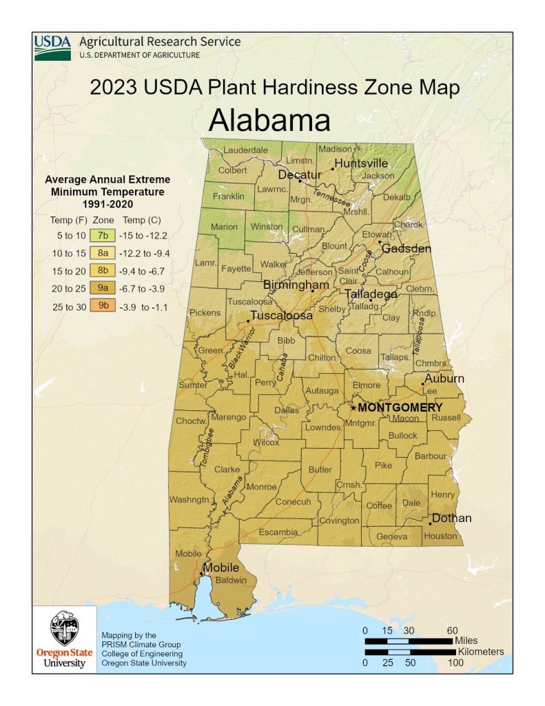 Gardening Zone Map: Find Your 2023 USDA Plant Hardiness Zone | POPS OF ...