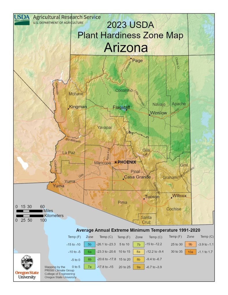 Gardening Zone Map: Find Your 2023 USDA Plant Hardiness Zone | POPS OF ...