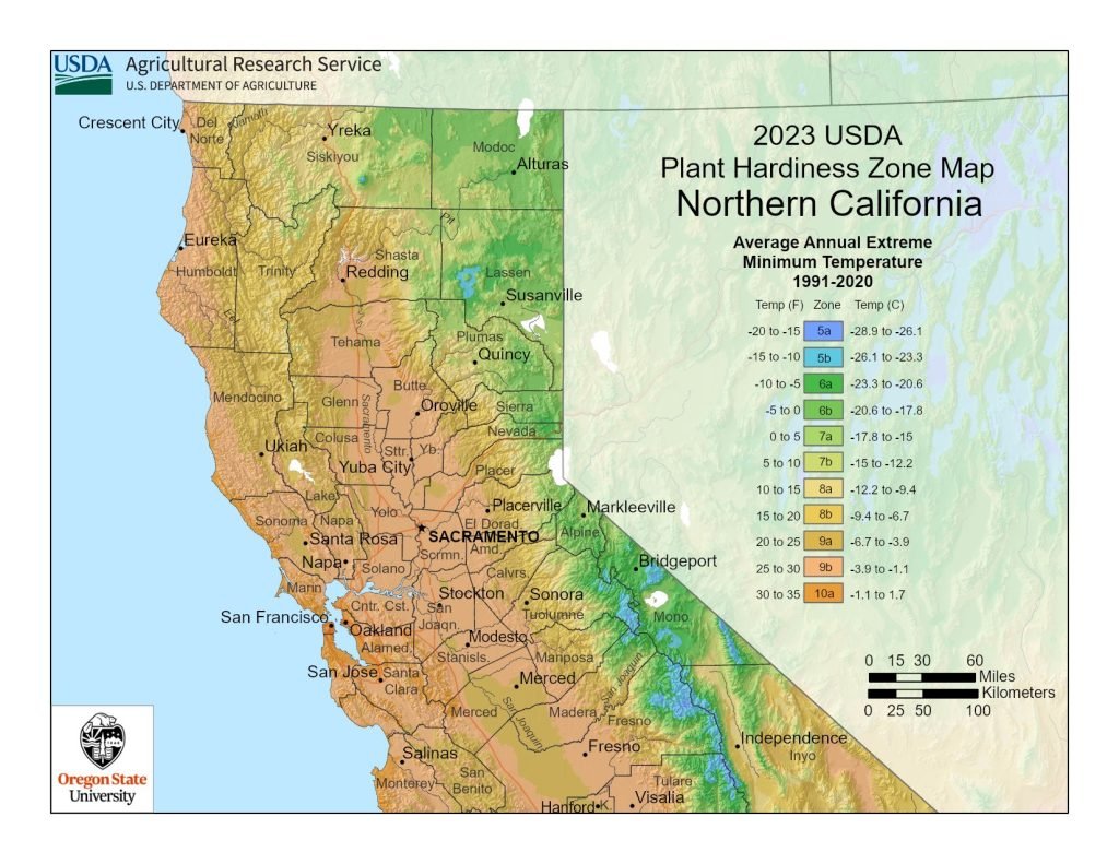 Gardening Zone Map: Find Your 2023 USDA Plant Hardiness Zone | POPS OF ...
