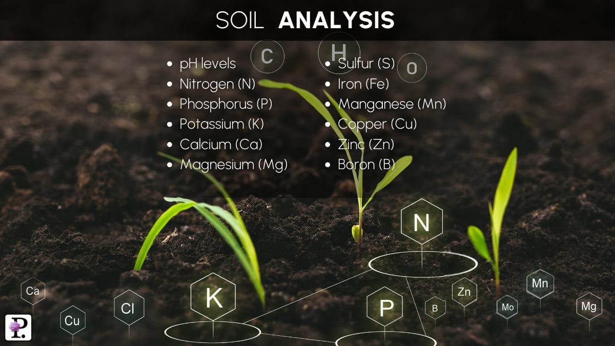 How Does Soil Form: Composition, Classification, Properties And Types ...