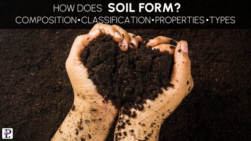 How Does Soil Form: Composition, Classification, Properties And Types ...