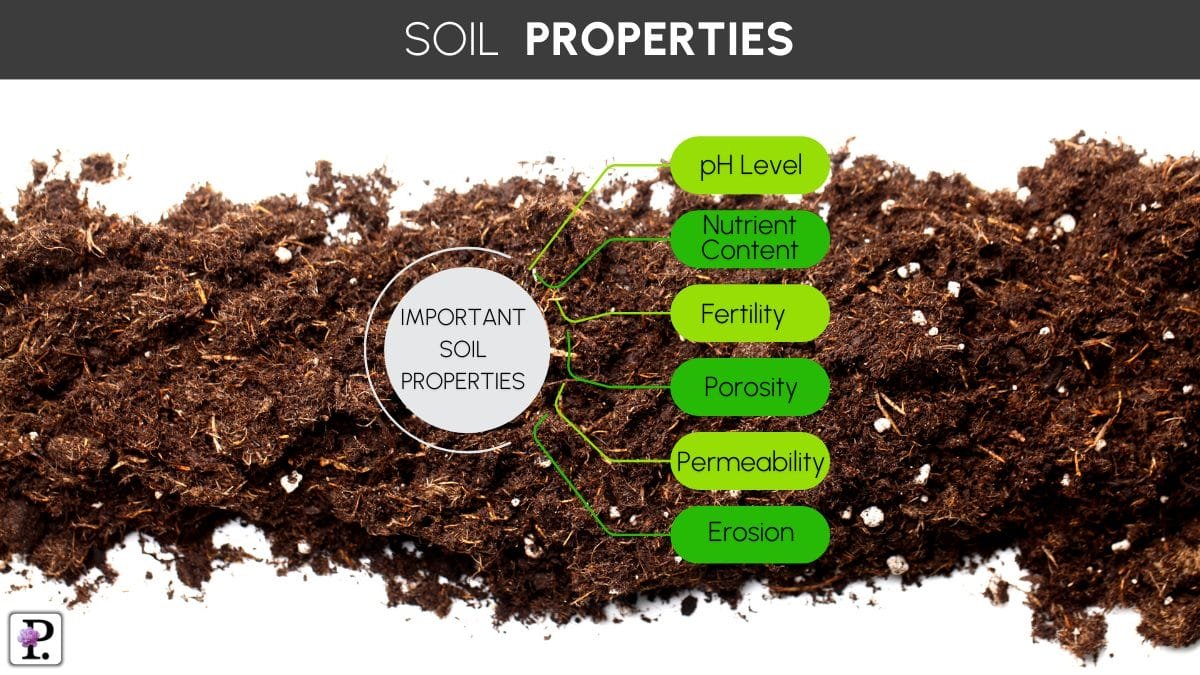 How Does Soil Form: Composition, Classification, Properties And Types ...