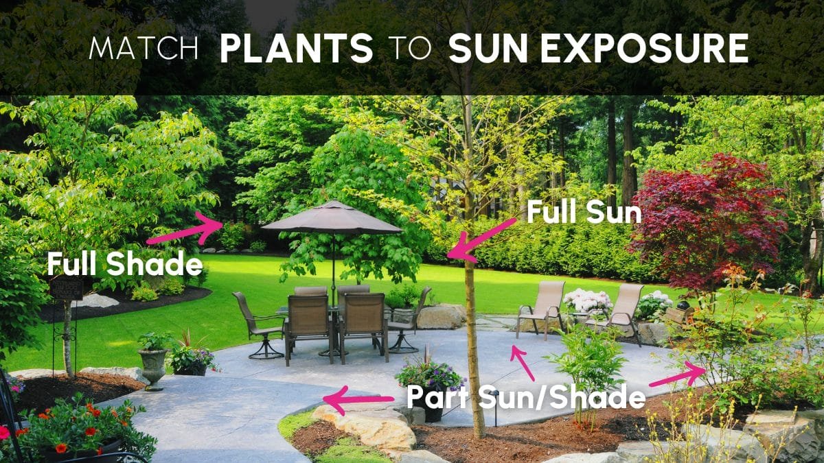 How To Assess Sun Exposure: Sun Mapping For Gardeners | POPS OF PETALS